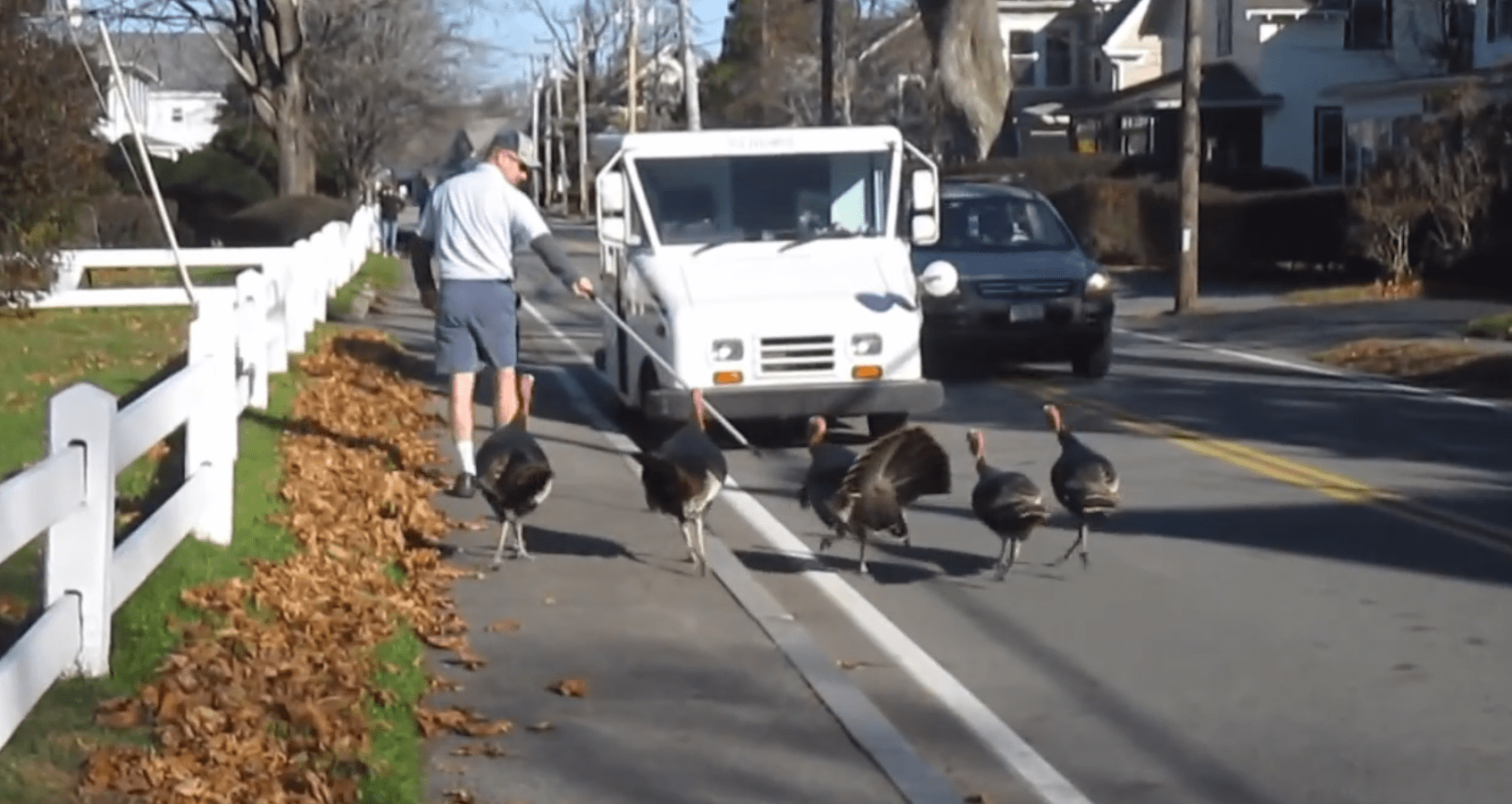 Video of turkeys chasing Massachusetts postman in Christmas revenge ...