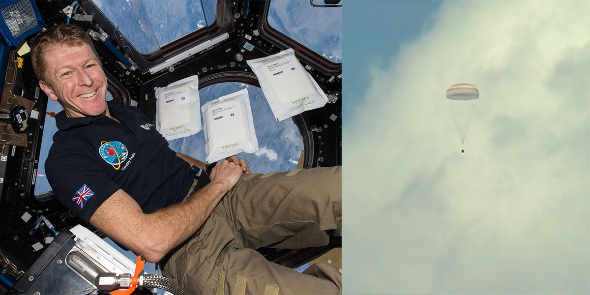 Tim Peake's return to Earth's means he's having a worse Monday morning ...