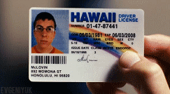 Teenager gets driving licence with address as 'My dad's house' | Metro News