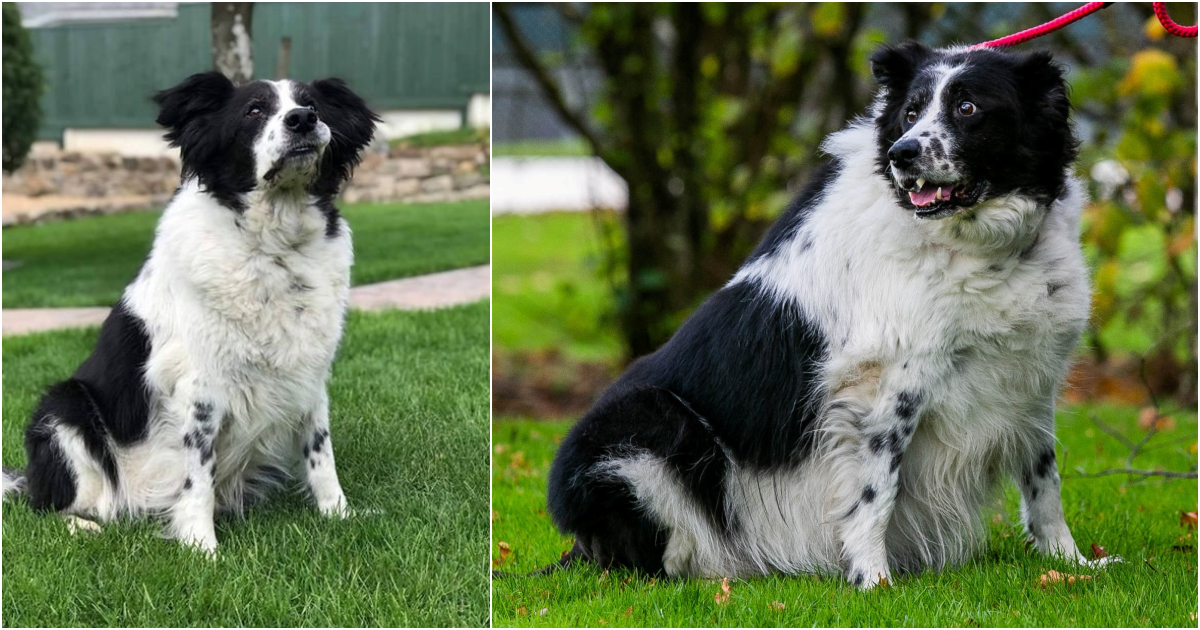 All by Richard Hartley-Parkinson | Metro UK