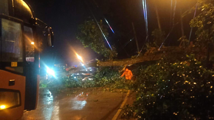 TRAVEL ADVISORY: Fallen tree blocks Sayre Highway in Malaybalay City ...