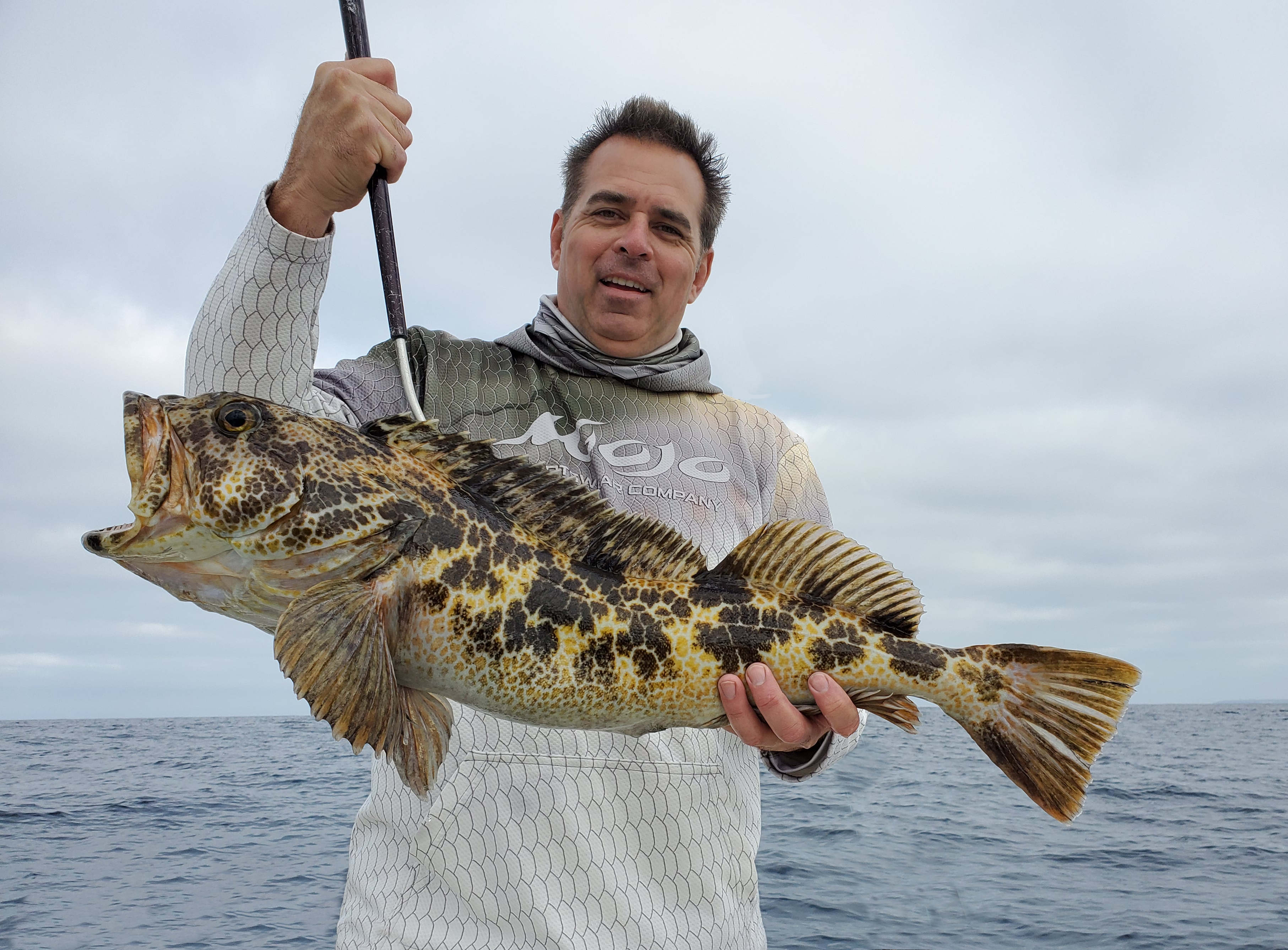 Lingcod | Mexican Fish.com