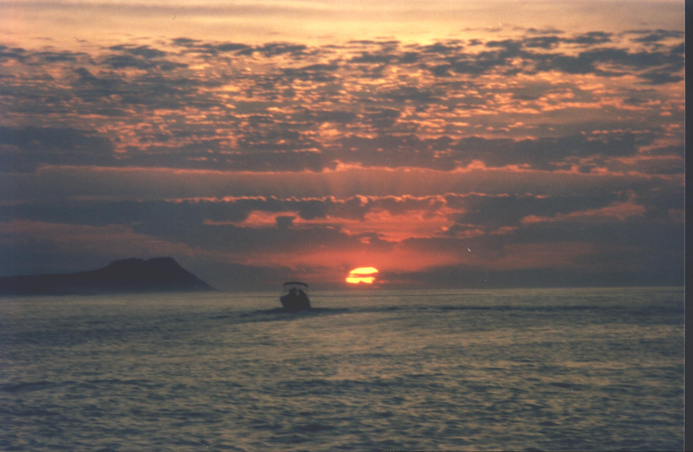 Mexico – Fish, Birds, Crabs, Marine Life, Shells and Terrestrial Life | Photos and species ...