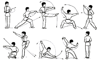 Wushu taolu basic training pdf - megalsa