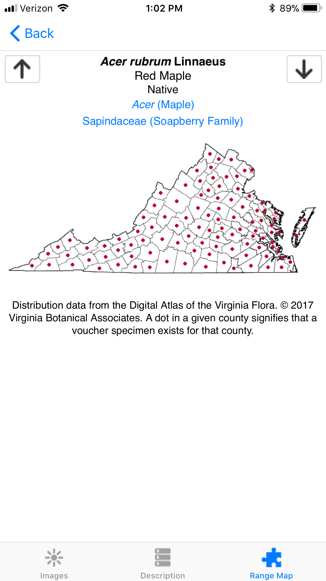 The New Flora of Virginia Mobile App