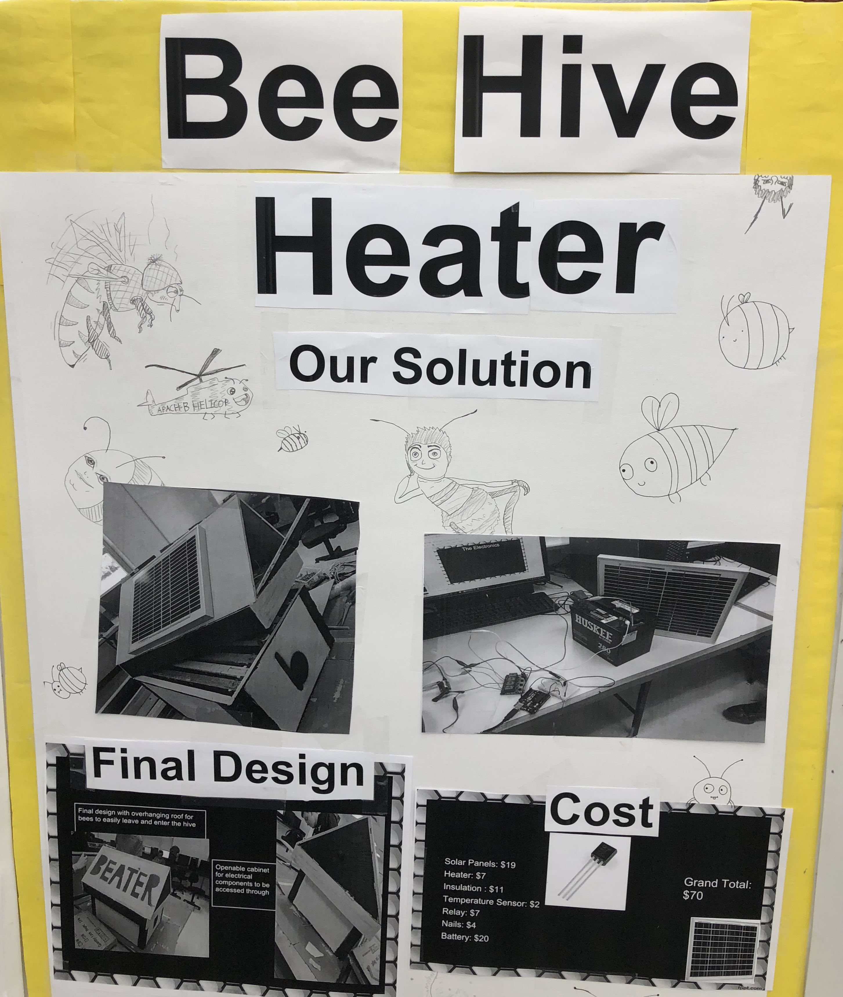 What Can We Learn from a College Essay about Bees? – Health.Medicine ...