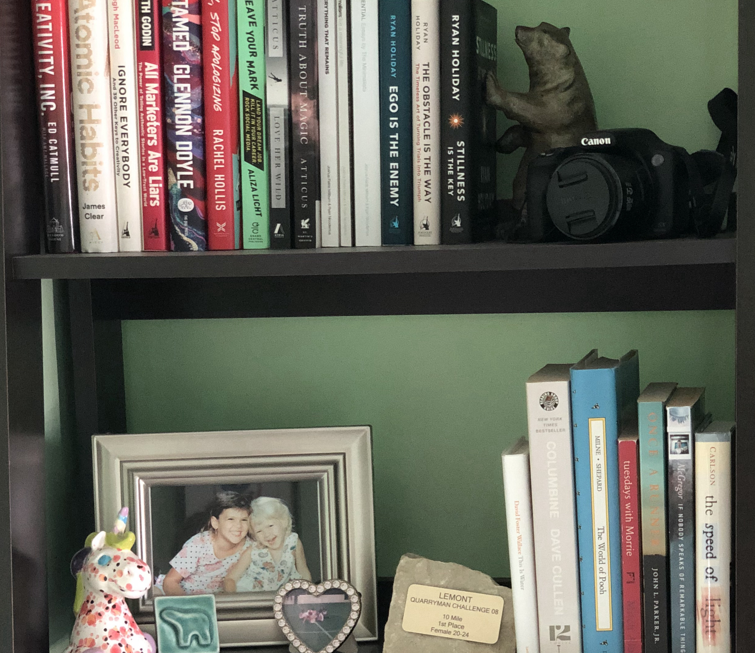 Books on the Shelf - Michelle Klinger