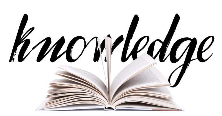 Portfolio | The Elastic Scholastic