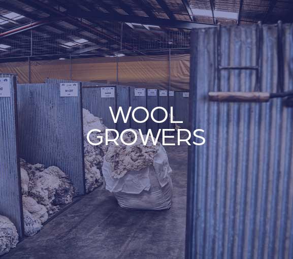 Michell 1870 – We Are Wool