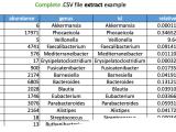 Example Dataset