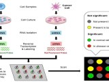 Dna Microarray
