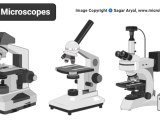 Light Microscope Definition Principle Types Parts 43 Off