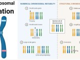 Chromosomal Mutations