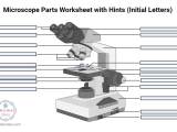 Worksheet Parts Of A Microscope Adriansonfifth