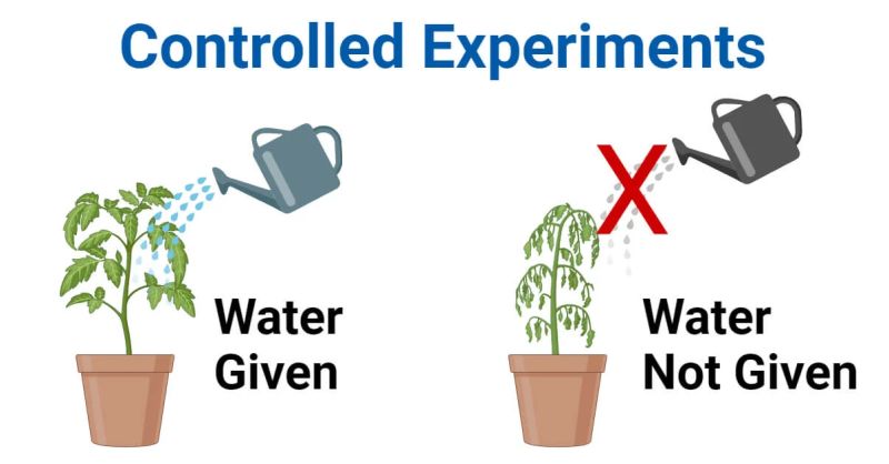 Controlled Experiments: Definition, Steps, Results, Uses