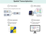 Transcriptomics Definition Types Techniques Applications