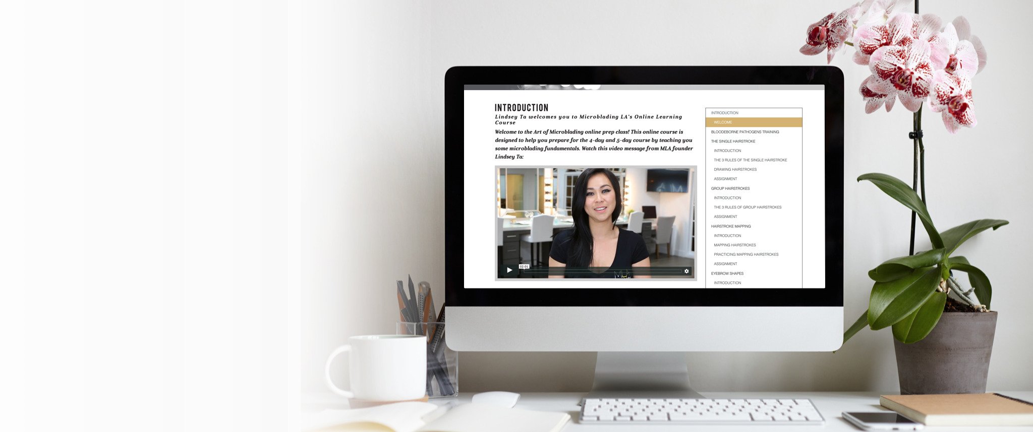 Online Pmu Fundamentals Class Microblading La