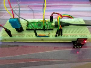 DHT11 Web Server with Raspberry Pi Pico using MicroPython