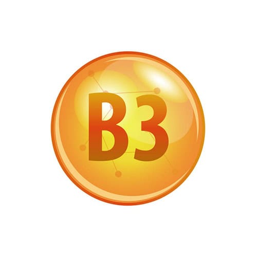 Niacin (Vitamin B3) | Microdose Mushrooms Canada