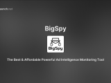 Bigspy Is Now On Microlaunch