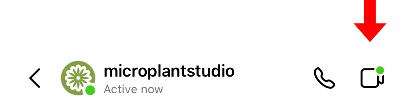 Virtual Plant Care Consultation - MICRO PLANT STUDIO