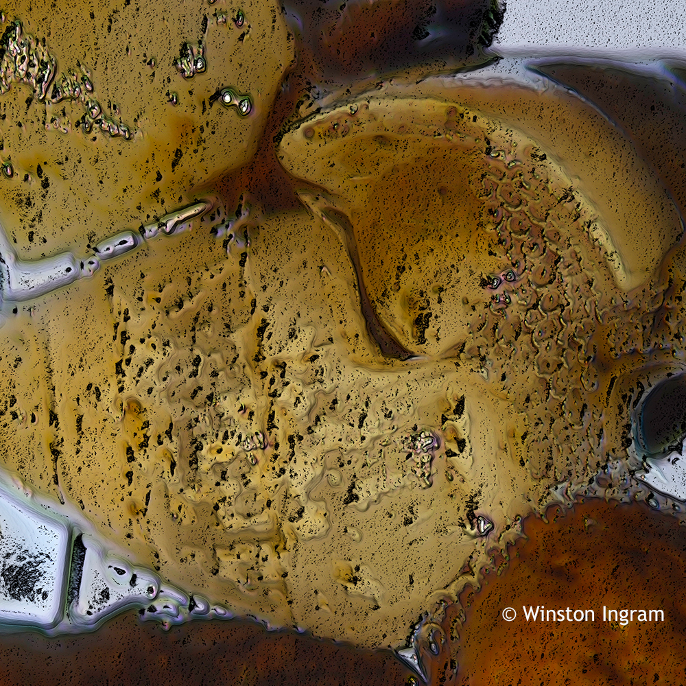 Microscopy Micro Fossils | Microbus Microscope Educational Website