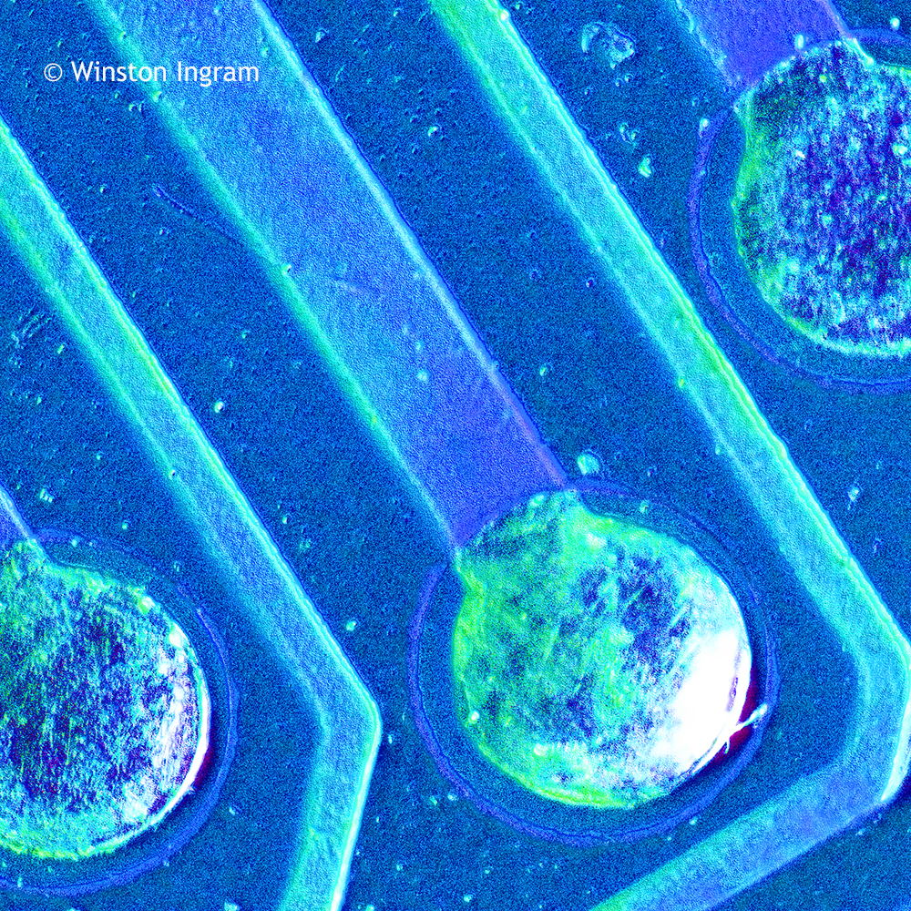 Microscopy Electronic Circuits | Microbus Microscope Educational Website