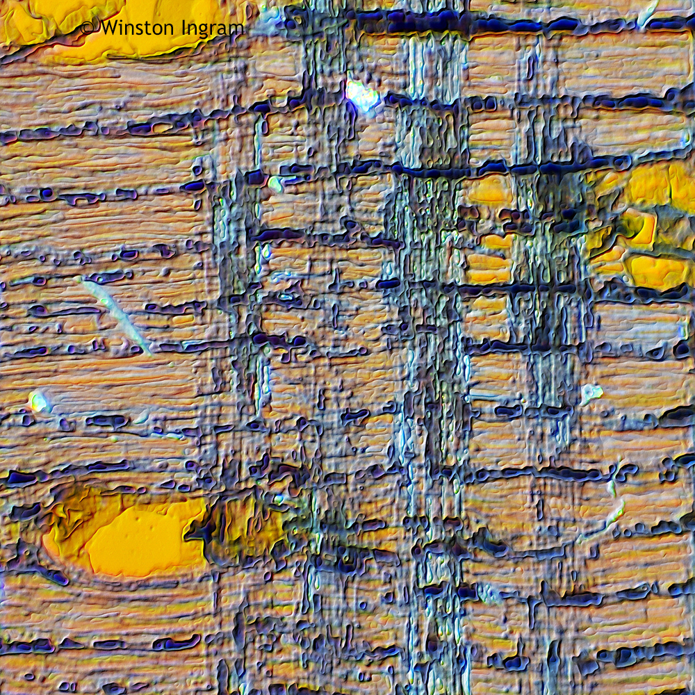 Microscopy Wood | Microbus Microscope Educational Website