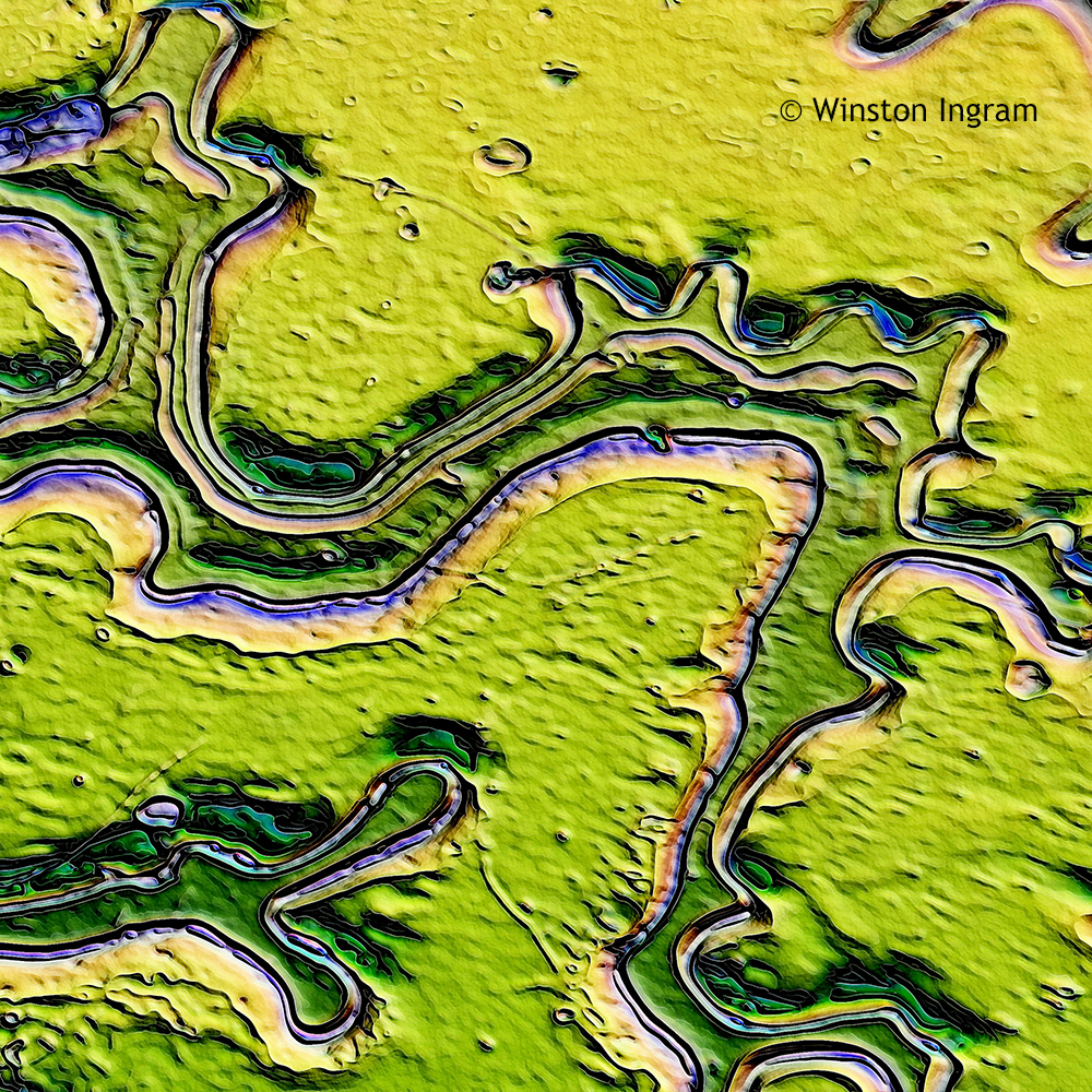 Microscopy Wood | Microbus Microscope Educational Website