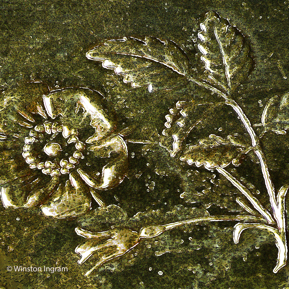 Coins | Microbus Microscope Educational Website