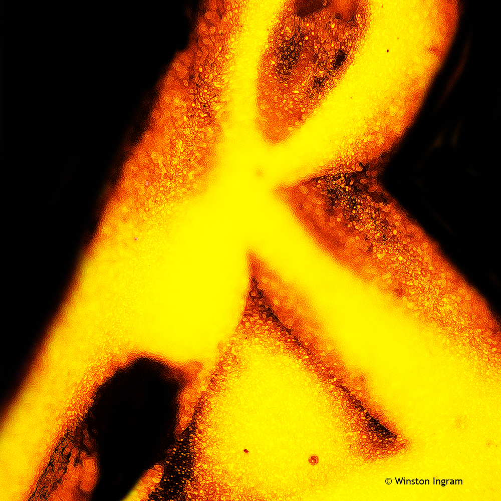 Metals | Microbus Microscope Educational Website