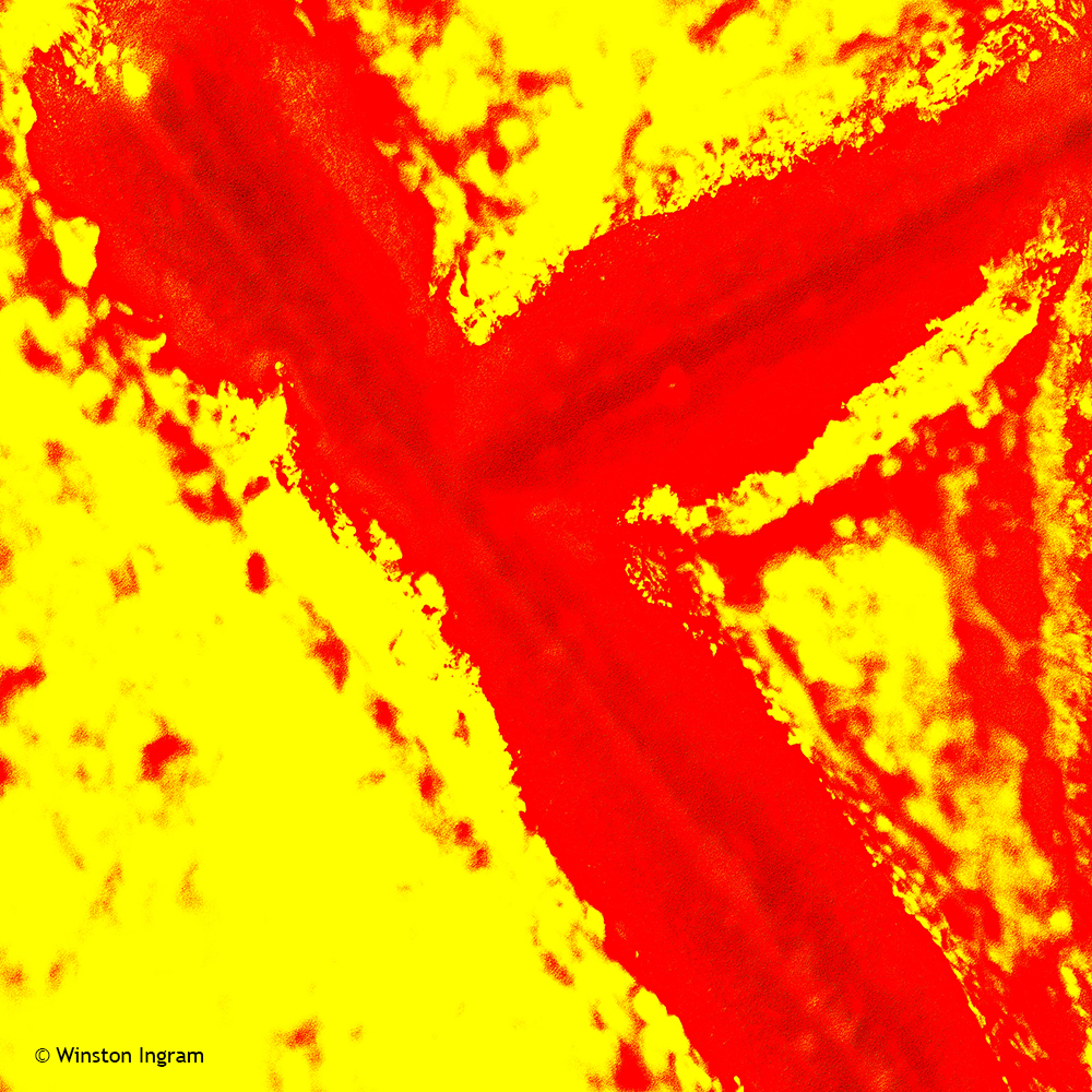 Metals | Microbus Microscope Educational Website