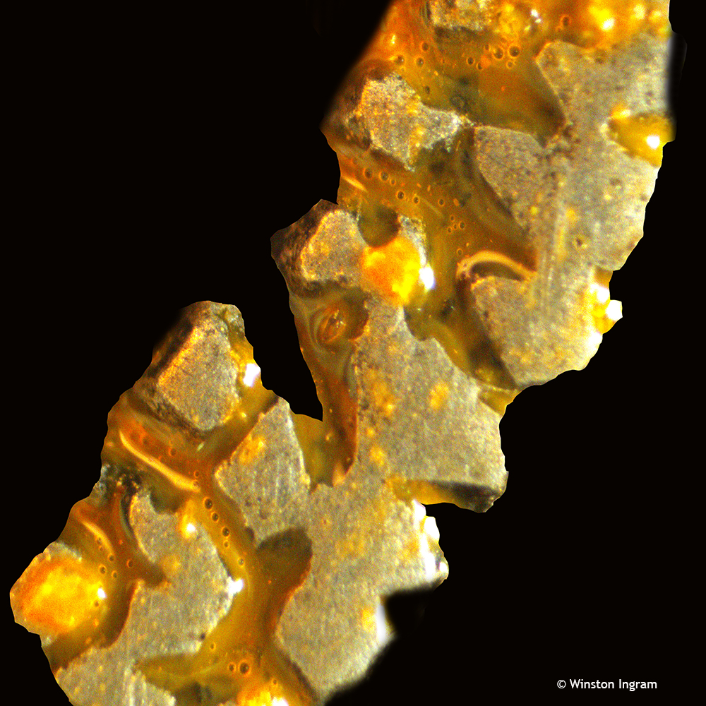 Metals | Microbus Microscope Educational Website