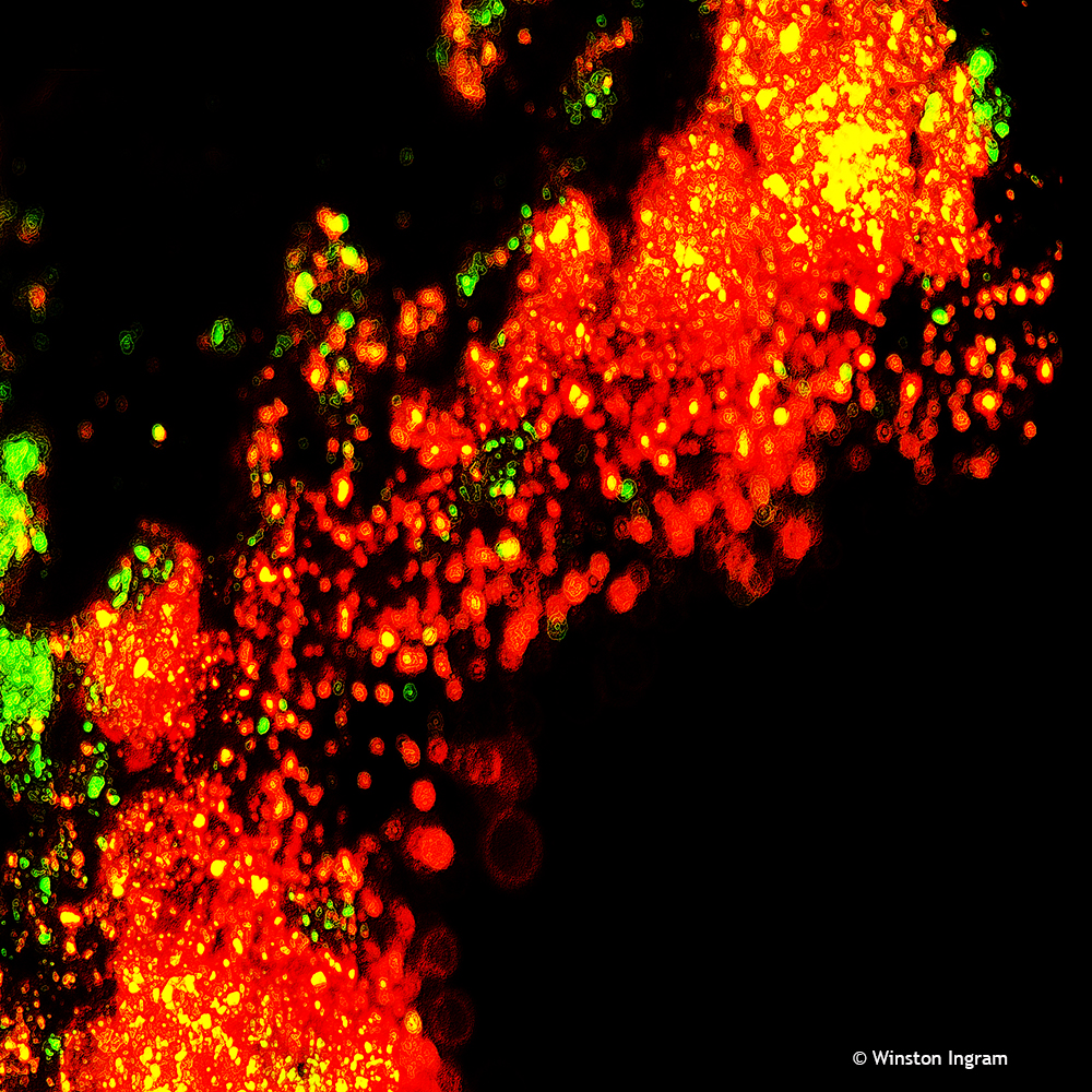 Metals | Microbus Microscope Educational Website