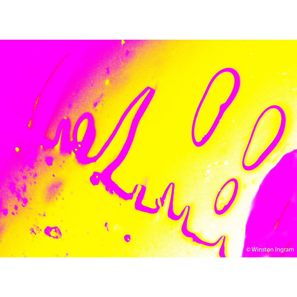 Water under the Microscope | Microbus Microscope Educational Website