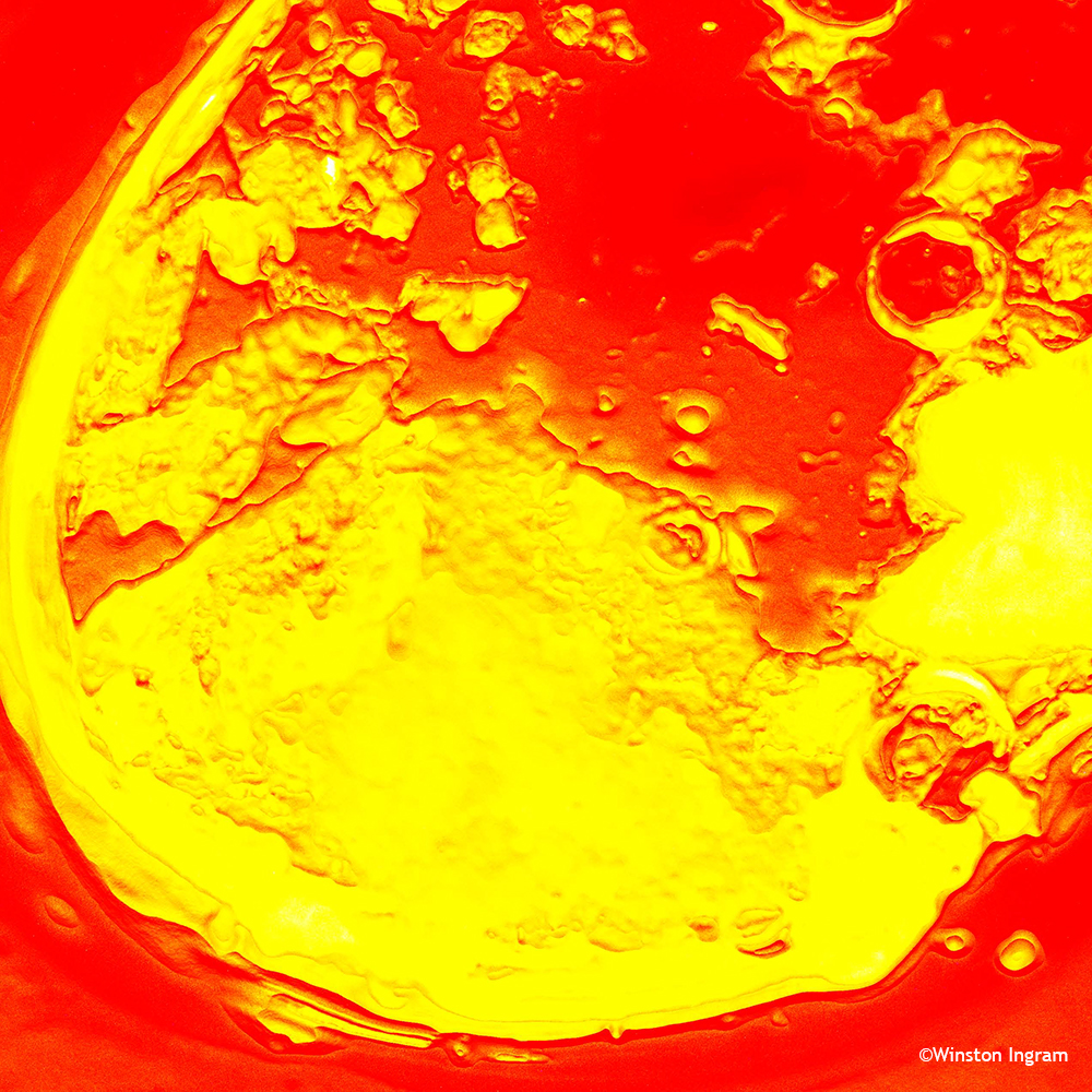 Spices | Microbus Microscope Educational Website