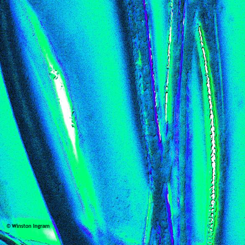 Materials / Leather | Microbus Microscope Educational Website