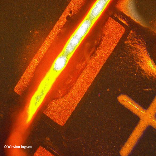 Mobile Phone | Microbus Microscope Educational Website