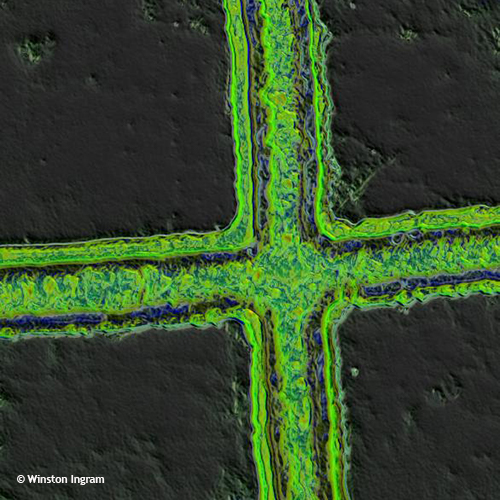 Mobile Phone | Microbus Microscope Educational Website