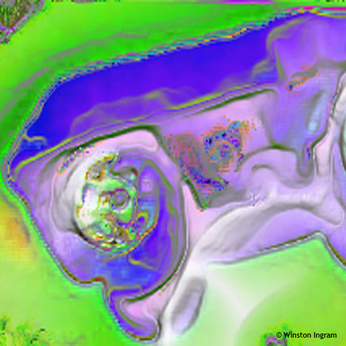 Mini Model Cars | Microbus Microscope Educational Website