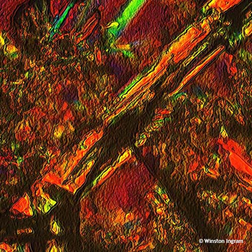 Omega-3 | Microbus Microscope Educational Website