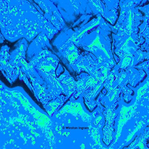 Folic Acid | Microbus Microscope Educational Website