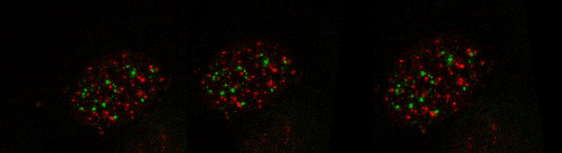 Imagej Notes On Stackreg - Space Images - Modern Desktop Collection