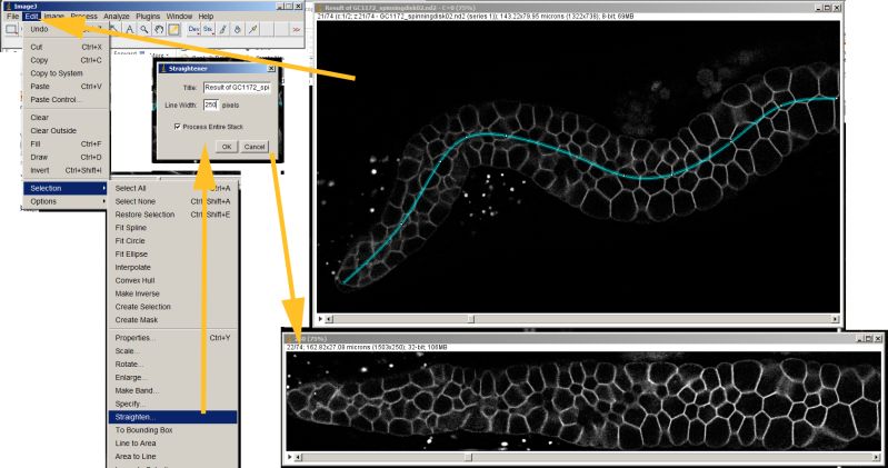 Imagej Notes - Nature Textures - Incredible Retina Collection