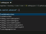 Examine Github Copilot Settings And User Interface Features Mslearn