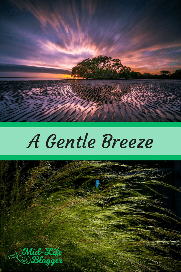A Gentle Breeze – Mid-Life Blogger