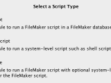 Filemaker Server Side Script Sequences Mightydata