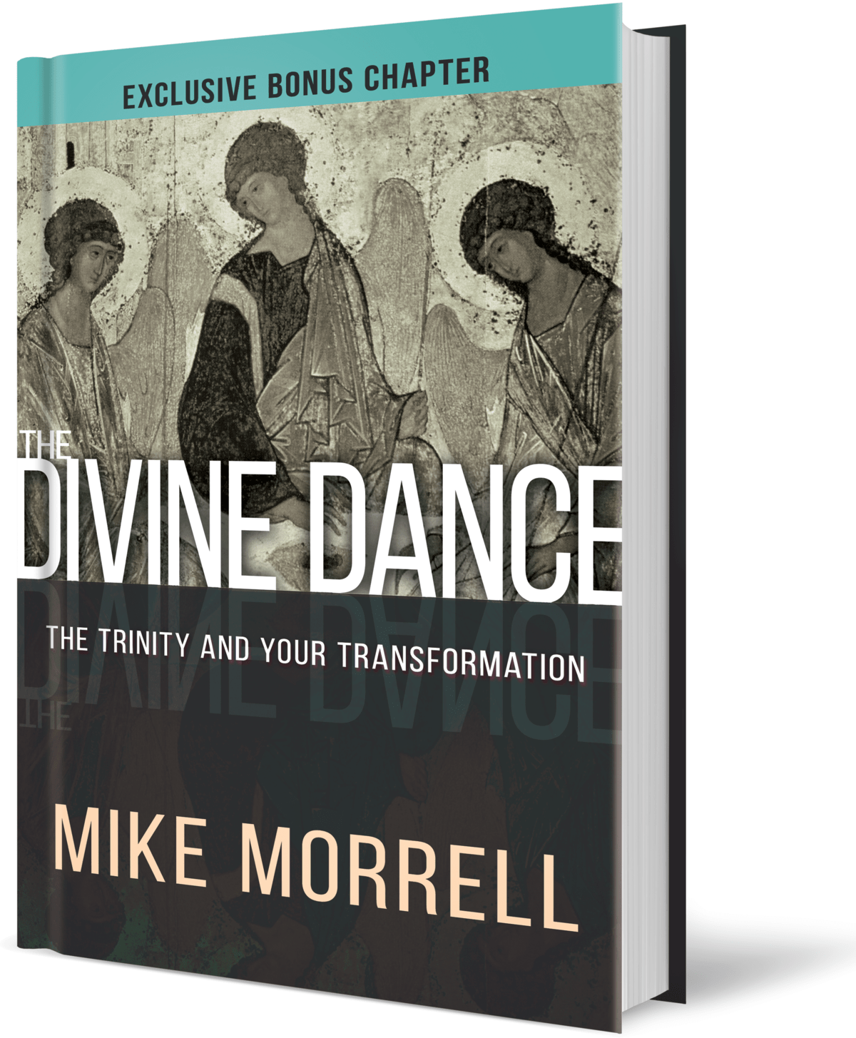 Get Your Bonus Chapter from Mike’s book with Richard Rohr – ‘The Divine ...