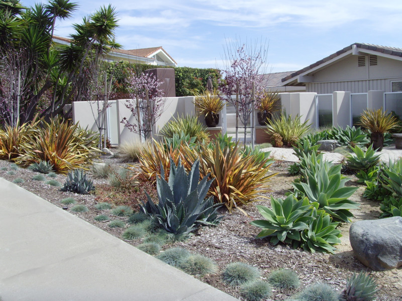 Gallery – Mike Parker Landscape