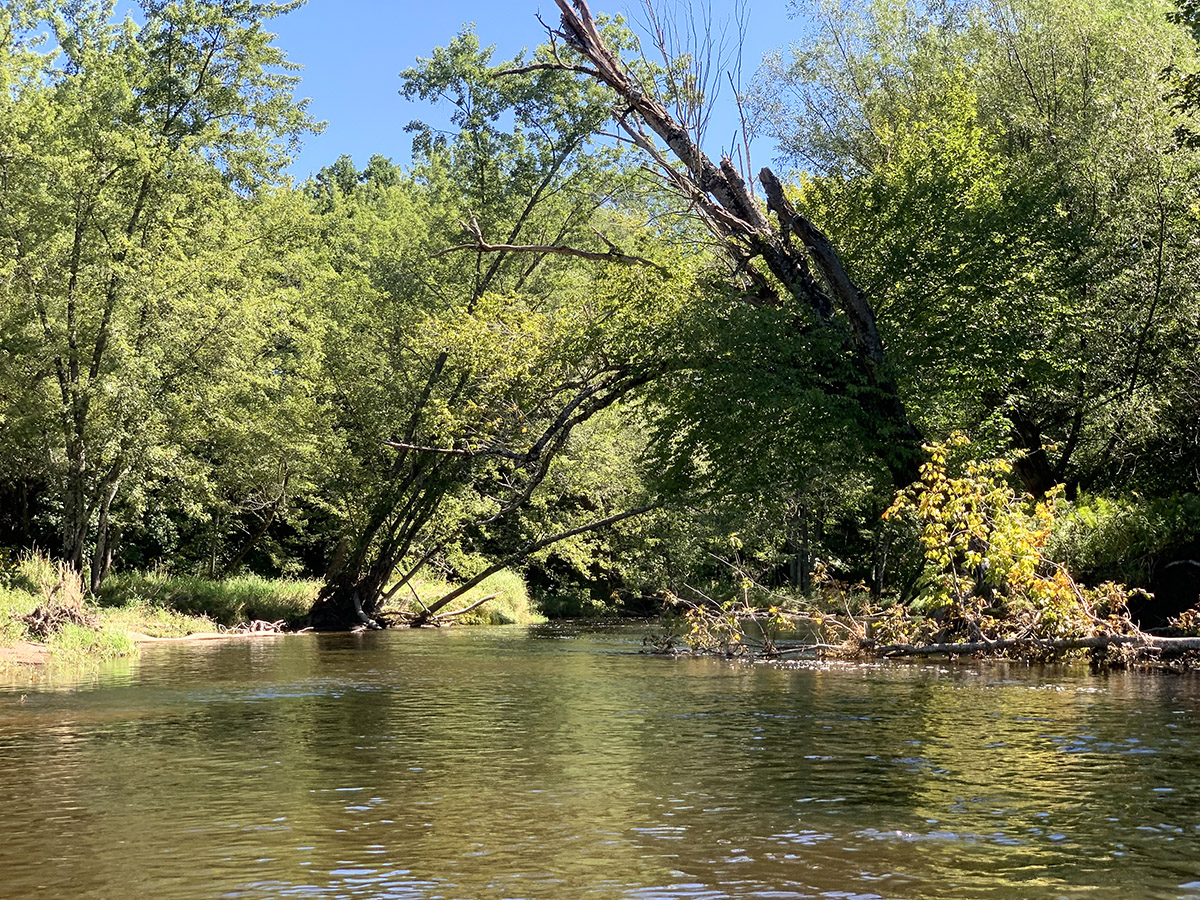 Big Rib River II - Miles Paddled